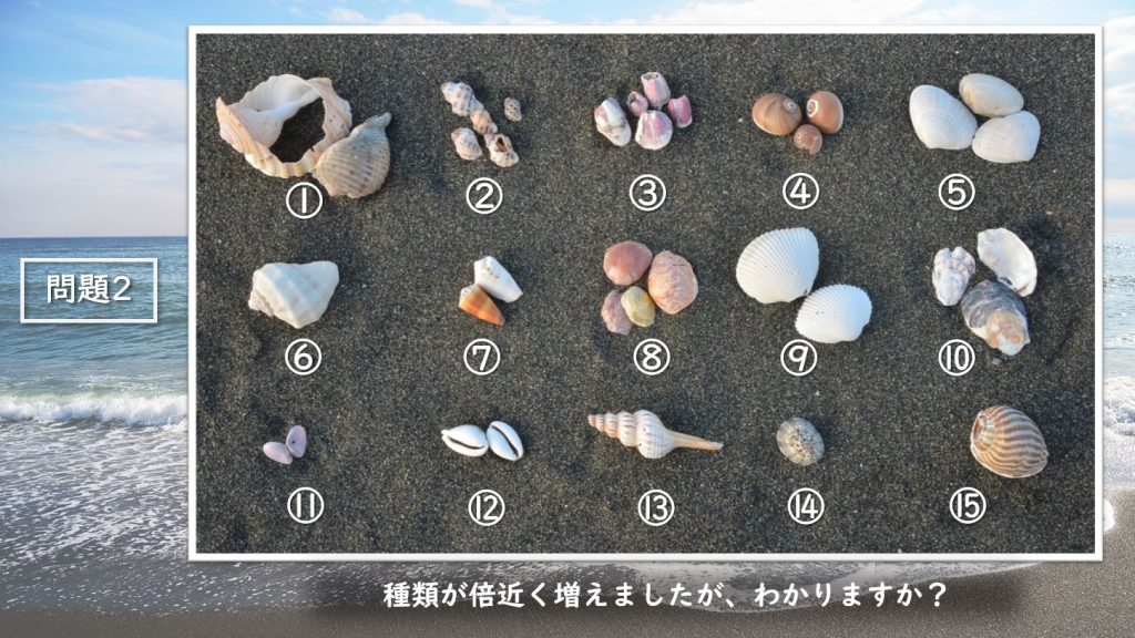 ヒデキのゆるゆる渚歩記/ep8 -「違和感を探せ！」クイズ編2- | 空間と体験の可能性を追求するメディア「nomlog（ノムログ）」 | 株式会社乃村工藝社